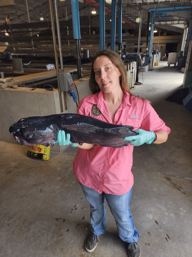 Dive Into the Untold Story of Sumter County’s Fish Hatchery