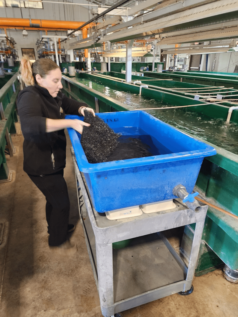 Dive Into the Untold Story of Sumter County’s Fish Hatchery