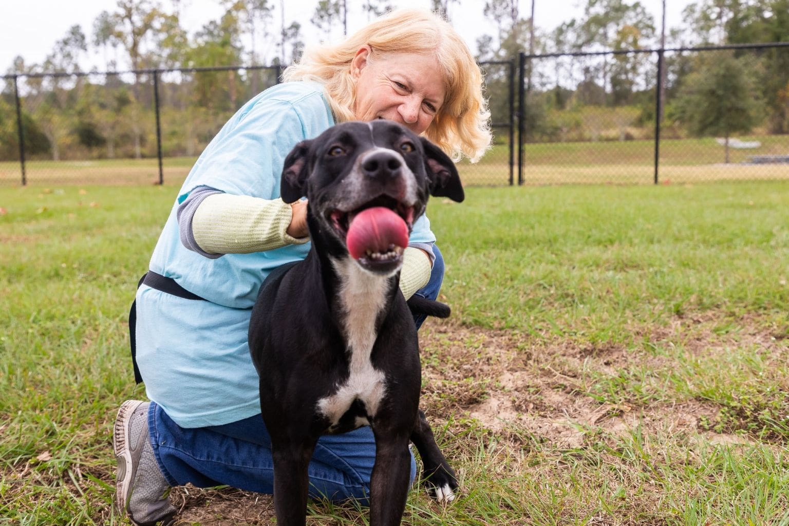 Lake County Animal Shelter Over Capacity for Dogs, Urgently Seeks ...