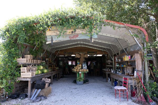 Bountiful Farms Harvests a Legacy of Freshness and Quality From Their ...