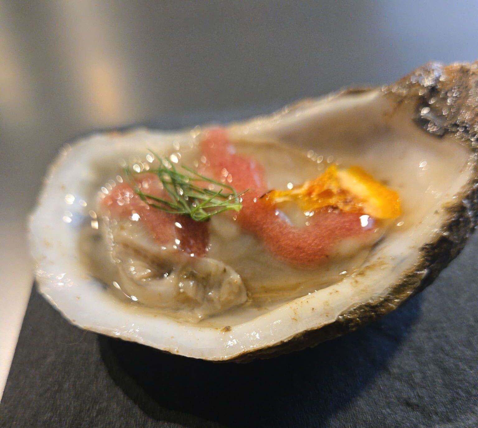 Salt & Ember Opens in Mount Dora with VIP Preview Showcasing Raw Bar ...